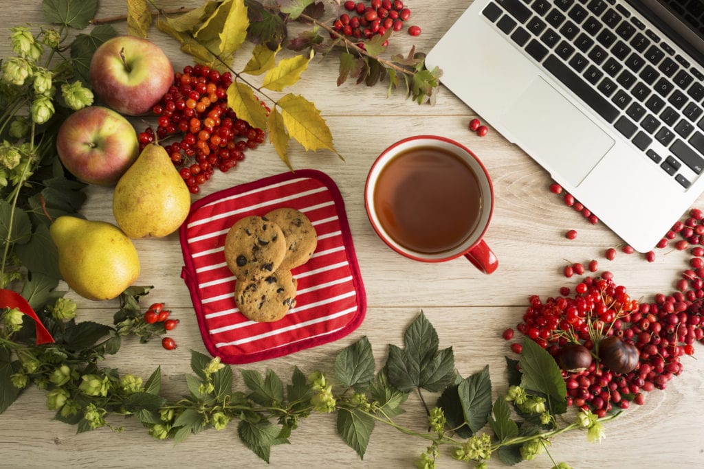 Copeland eNewsletter: Autumn Edition - Copeland Technology Solutions